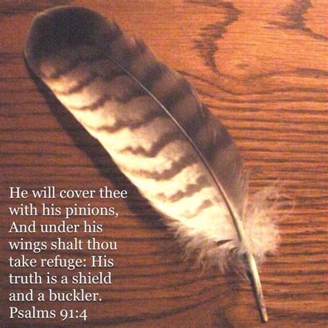 Pin By Terri Matthews On How Majestic Is Thy Name Psalms 91 4