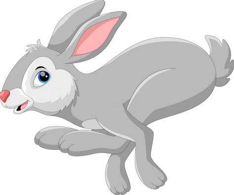 Premium Vector Cute Rabbit Jump