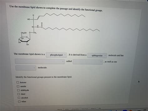 Solved Use The Membrane Lipid Shown To Complete The Passage Chegg