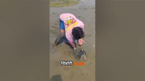 बिळात हात घालून काढली चिंबोरी 🦀crab Chimbori Aagarikoli Marathi