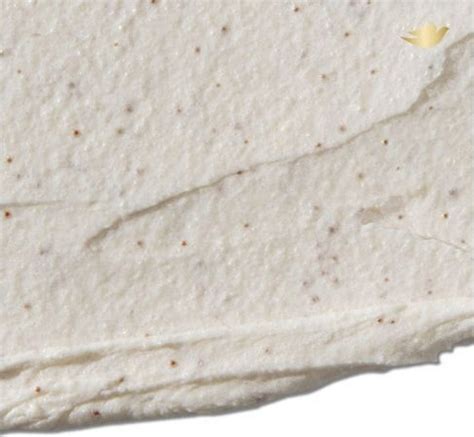 Dove Kremni Piling Za Prhanje Makadamija In Riževo Mleko 225 Ml Oh Feliz Spletna Trgovina