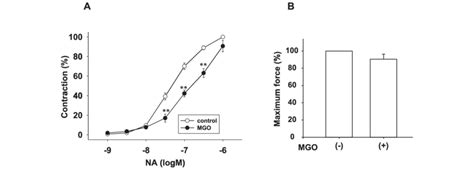 Effect Of Pretreatment With Mgo On Na Induced Contraction In Mesenteric
