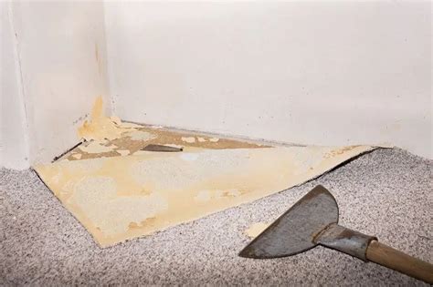 How To Remove Carpet Glue Selecting The Best Carpet Glue Remover
