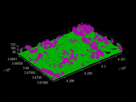 Segmentaeriallidarvegetation