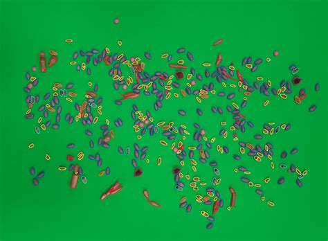 Annotation Free Quality Estimation Of Food Grains Using Deep Neural