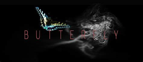 Butterfly And Reconstruction