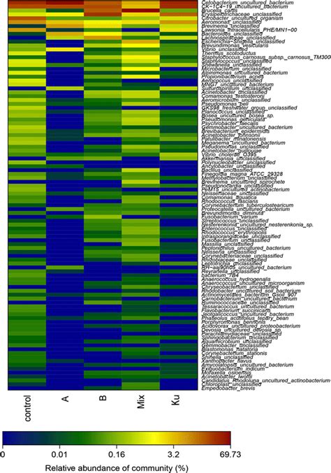 Heatmap Of The Bacterial Distribution Of Different Communities The