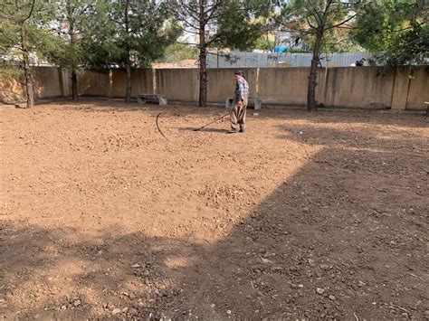 پڕۆژەی لەبری سەوزکردن وەك ستراتیژییەکە بۆ داهاتوو وەك یەکێك لە ڕێکارە هەرە گرنگەکان زیادکردنی