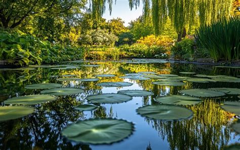 Page 14 Vernal Ponds Images Free Download On Freepik