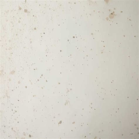 Antique Mirror Texture
