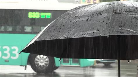 날씨 내일까지 더위 식히는 비제주도 장마 25일쯤 시작 Ytn