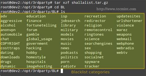 configuring squidguard enabling content rules and analyzing squid logs
