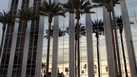 deception technology ipresidium