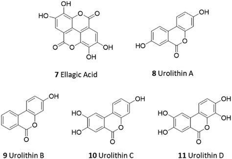 Chemical Structures Of Ellagic Acid 7 And Urolithins A C 8 11