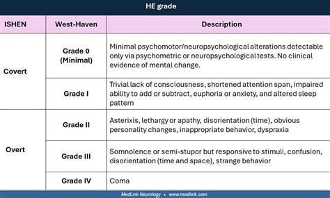 What Is Hepatic Encephalopathy