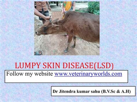 Lumpy Skin Disease Lsd Globally And In Indiapptx