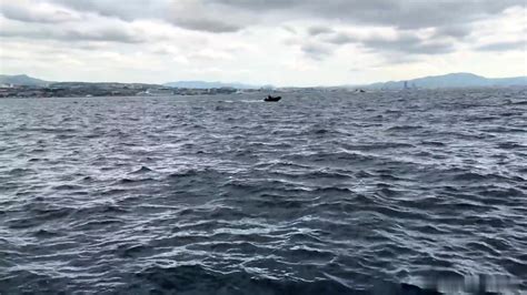 Alice Wild French Office Assistant On A Boat Miss Alice Wild