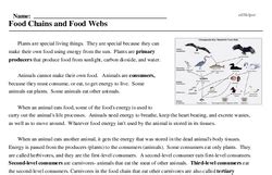 Food Chains And Food Webs Reading Comprehension Worksheet Edhelper