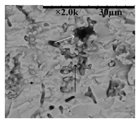 Scanning Electron Microscope Sem On Fractured Surface Of The Download Scientific Diagram