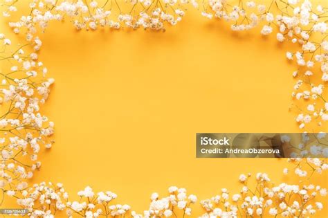 밝은 노란색 작은 흰색 꽃 소프트와 배경 종이 스프링 개념을 환영 합니다 해피 어머니의 날 여성의 날 발렌타인의 날 또는 생일