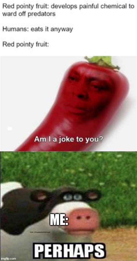 Haha Funny Imgflip