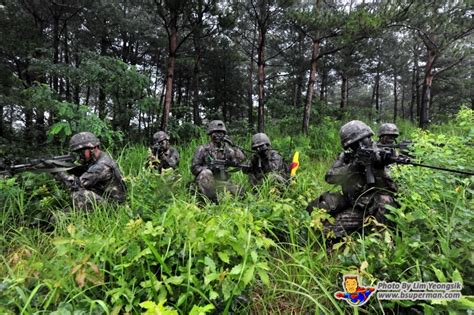 육군2군단 특공연대 국방군사사진 임영식기자의 밀리터리 파인더
