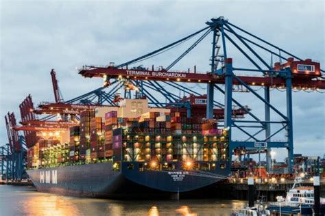 What Is Export Declaration A Complete Overview