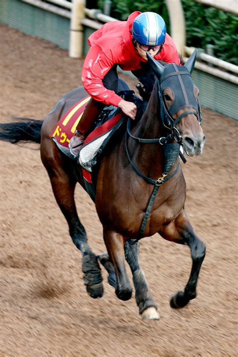 【秋華賞】ドゥーラは馬なりでも迫力満点 斎藤新騎手「弾むようなところが出てきました」 Umatoku 馬トク