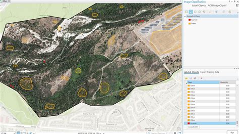Label Object For Deep Learning Esri Community