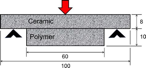 Beam Bend Specimen Schematic All Dimensions Are In Mm And Specimens