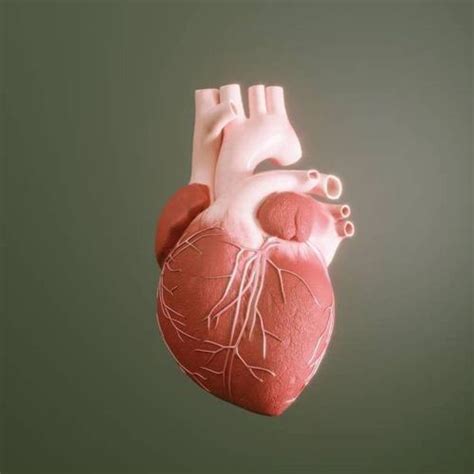 Kevin Puzio Ctp On Linkedin Some Great Tips For Everyone And Always Better To Be Prepared