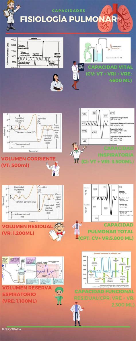 INFOGRAFÍA FISIOLOGÍA PULMONAR VOLÚMENES Y CAPACIDADES Idalia Vaca
