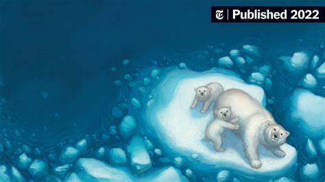 Book Review “polar Bear ” By Candace Fleming And Eric Rohmann And “feathers Together ” By