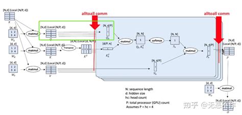 分布式训练技术分享四聊聊序列并行Sequence parallelism 知乎