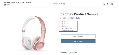 Adding Custom Fields Data Metafield Data To The Product Page