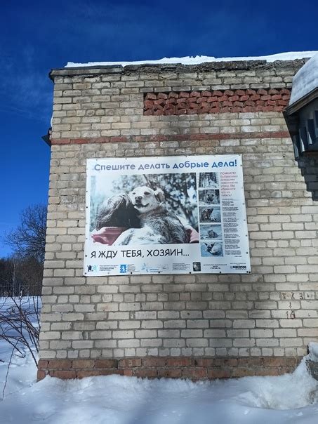Мы продолжаем благотворительную акцию по сбору корма для животных