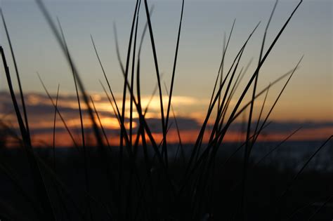 Free Images Sea Horizon Cloud Sky Sun Sunrise Sunset Field