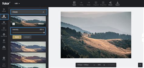 How To Use Photo Effects In Your Photos Fotor Help Center