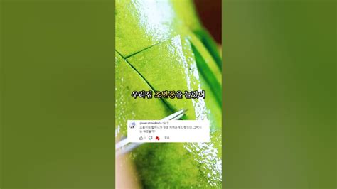 현금 10억을 준다는 남자 Youtube