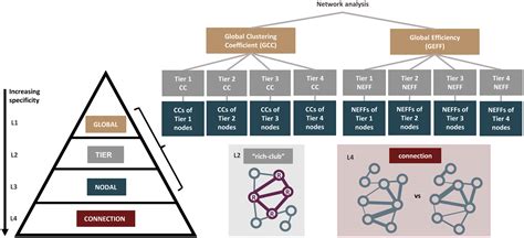 A Comprehensive Hierarchical Comparison Of Structural Connectomes In Major Depressive Disorder
