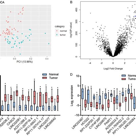 Differential LncRNA Abundance Analysis Comparing Tumor And Normal