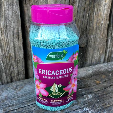 Ericaceous Plant Food Granules Markeaton Garden Centre