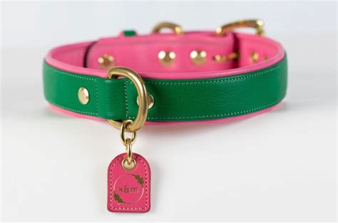 Michelle Codrington On Linkedin Sales Philanthropy Segd Guidedogs