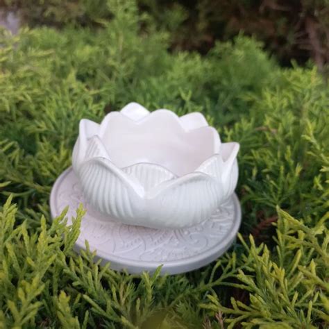 Декор із гіпсу🕊 On Instagram Гіпсове кашпо у вигляді лотоса на тарілочці 70 грн 2024