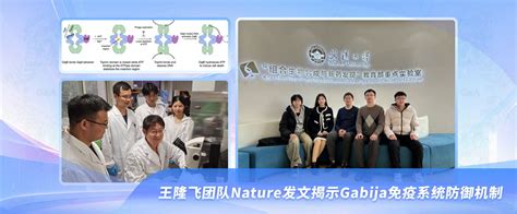 武汉大学药学院