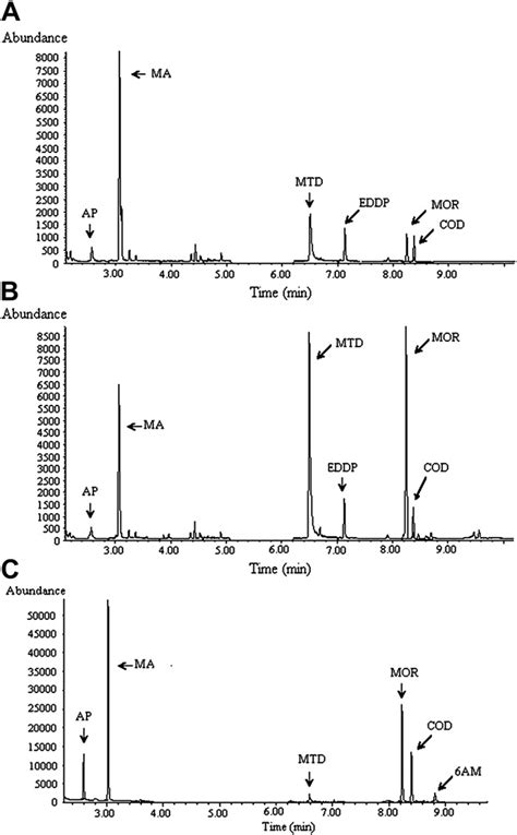 Gas Chromatography Mass Spectrometry Selectedion Monitoring GC MS SIM Download Scientific