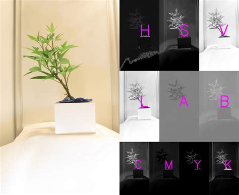 Colorspaces Plantcv