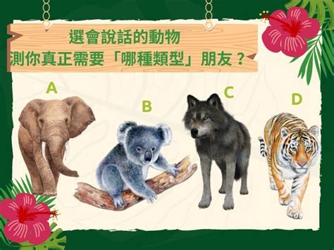 選會說話的動物 測你真正需要「哪種類型」朋友 ？ Ettoday星光雲 Ettoday新聞雲