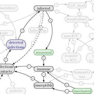 Schematic Causal Loop Diagram Of All Elements Regarded In The Four Download Scientific Diagram