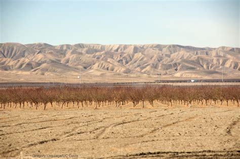 California Farm Bureau President Responds To Central Valley Project